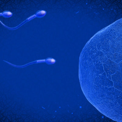 Home - lainfertilidad.com